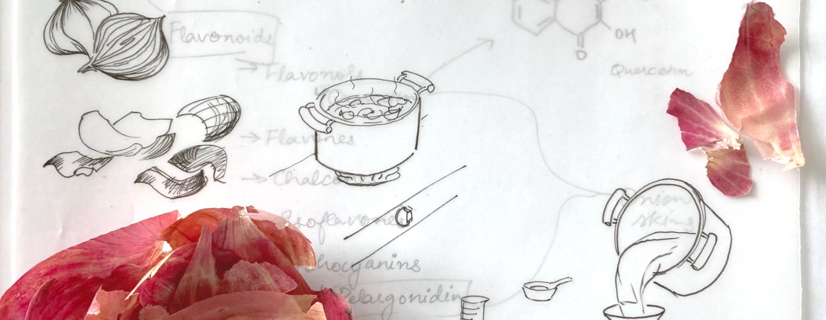 Colours of Onion skins – Pans & Spaces